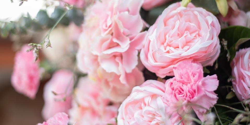 Floral-and-Elegant_Botanical-Rose_1200x1200.jpg?v=1623359938