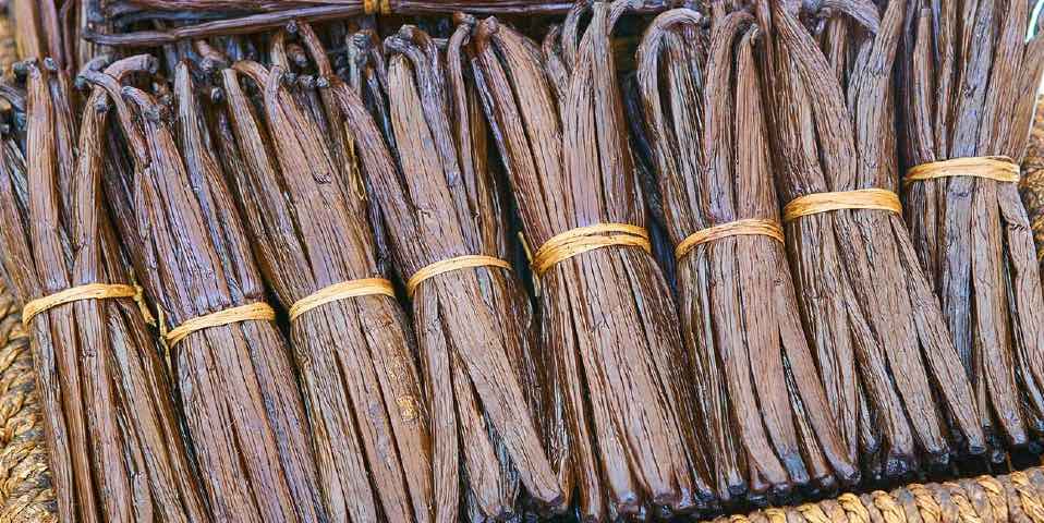Good-Enough-to-Eat_French-Vanilla_1200x1200.jpg?v=1623358796